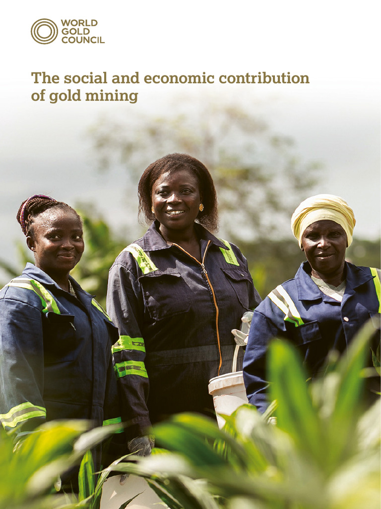 The Social and Economic Contribution of Gold Mining | PDF | Mining | Taxes