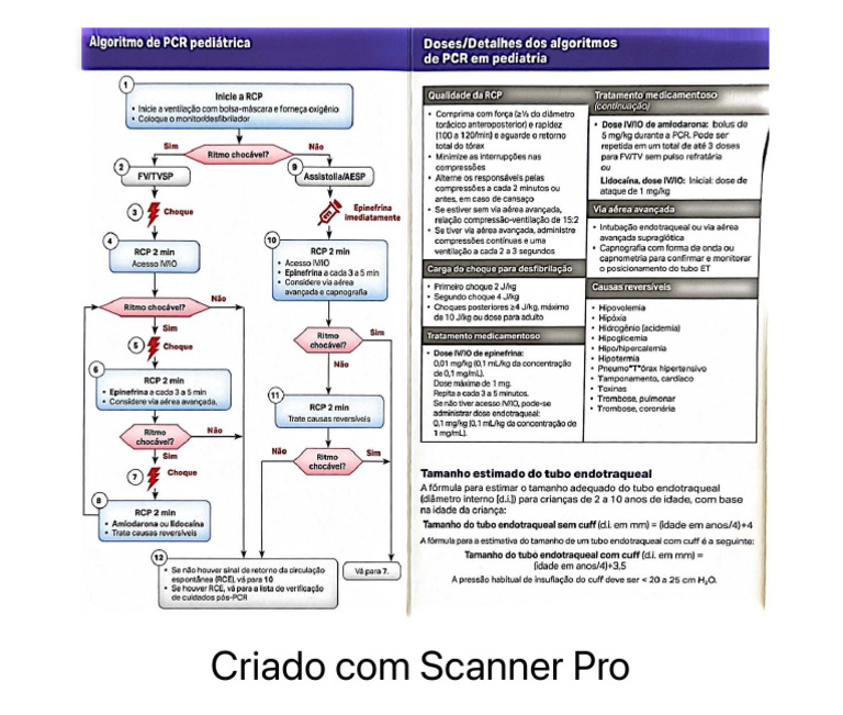 Algoritmo de PCR Pediatrico | PDF | Emergências médicas | Especialidades médicas