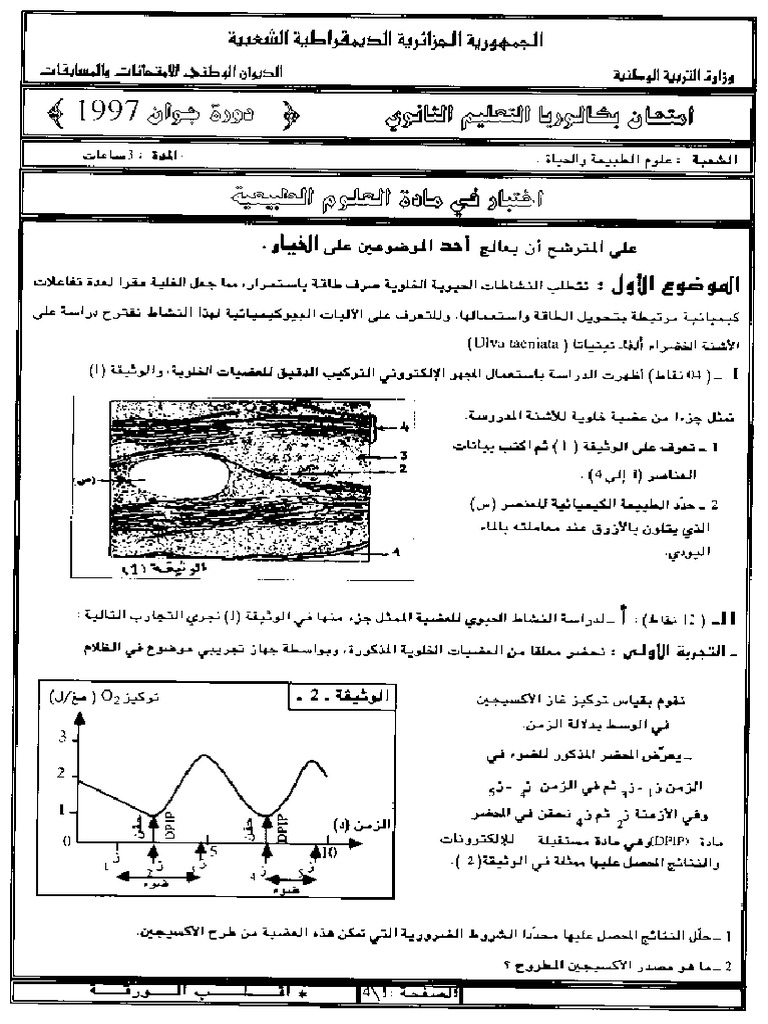 Bac 1997 SNV Science | PDF