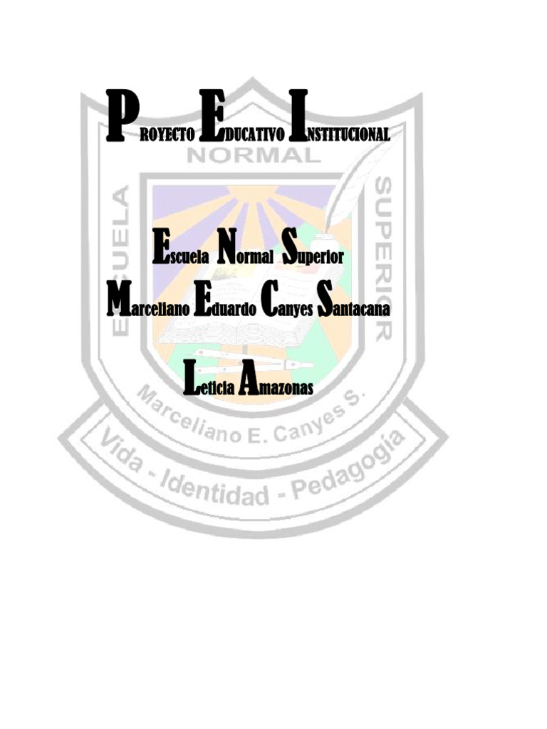 ACREDITACIÓN_PEI_2018-1 | PDF | Educación de la primera infancia | Plan ...