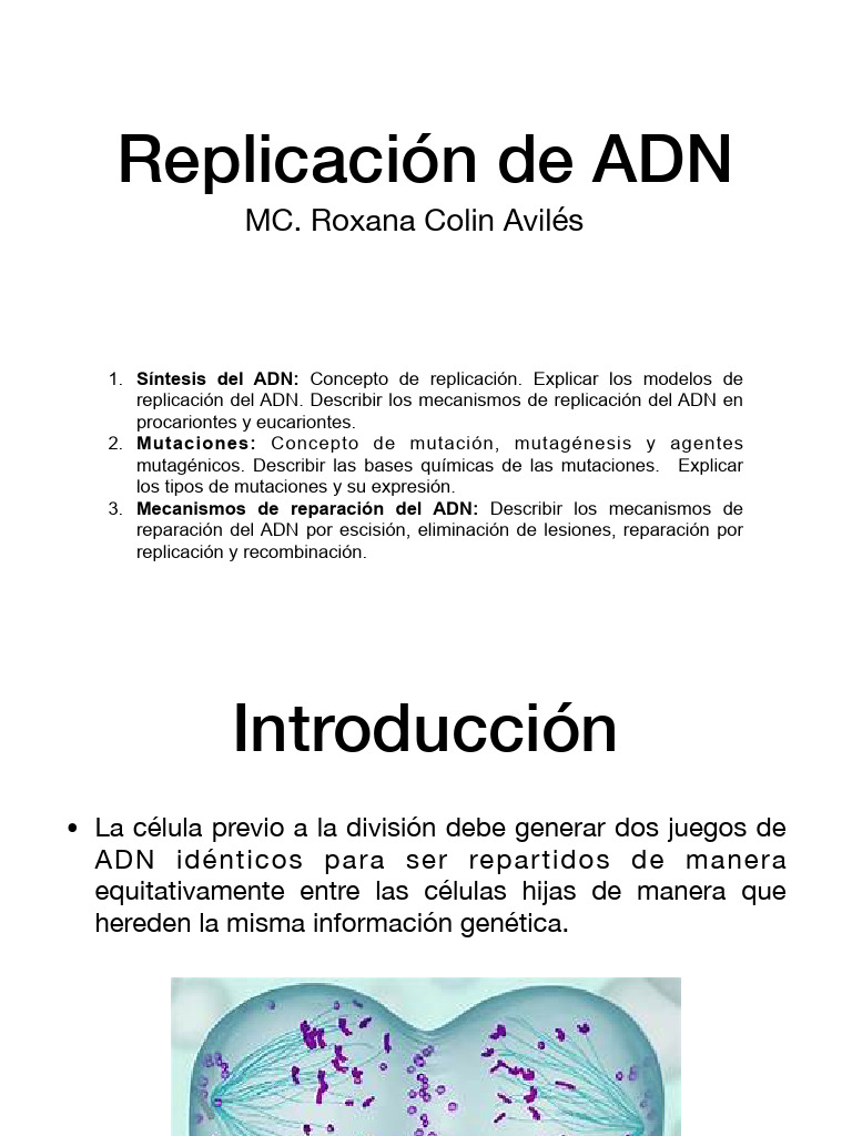 Replicacion - 2do Parcial | PDF | Replicación De Adn | Adn