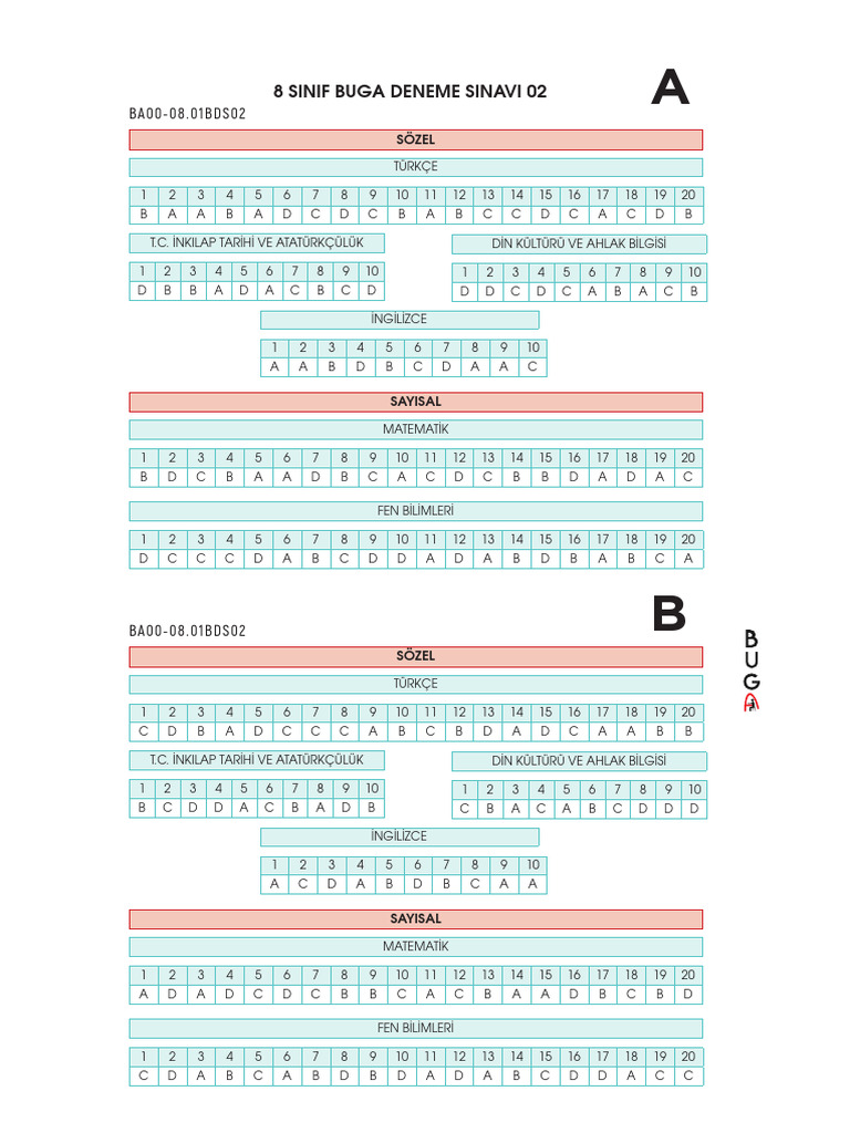 8 Sinif Buga 02 Ca | PDF