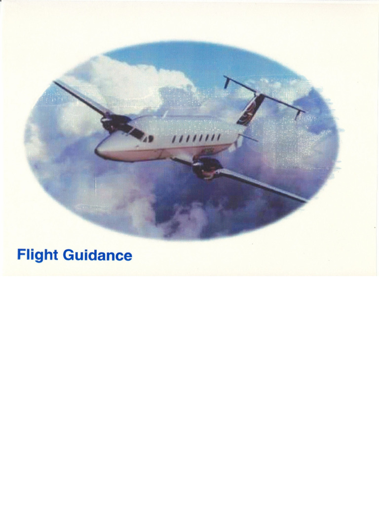 Flight Guidance | PDF