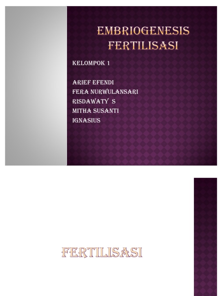 Power Point Embriogenesis | PDF