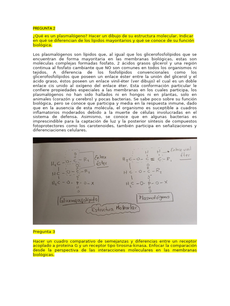 Plasmalógenos y su Función Biológica | PDF | Membrana celular | Lípido