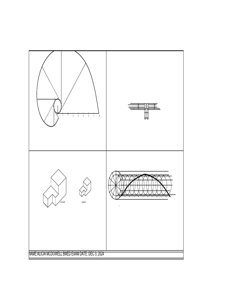 Alicia Mcdowell Bmed Exam | PDF