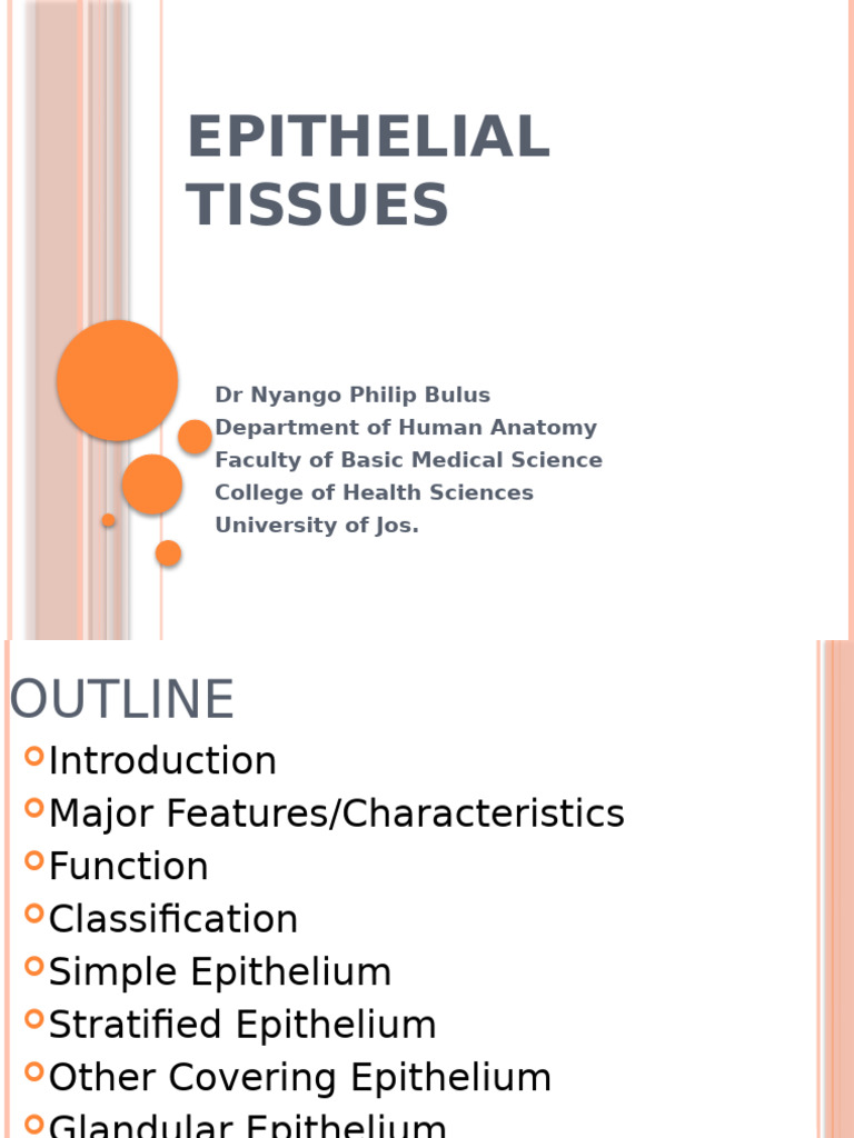 Epithelial Tissues Pdf Epithelium Animal Anatomy