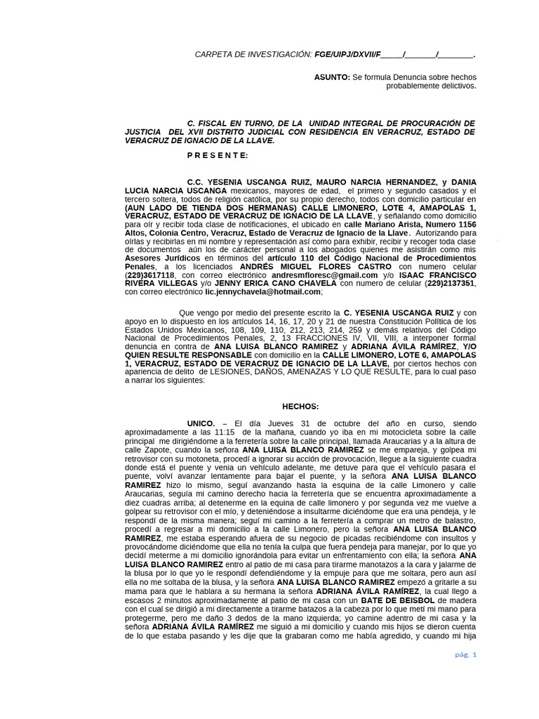 Denuncia - Mauro | PDF | Justicia | Crimen y violencia