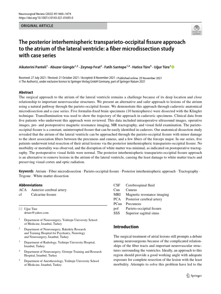 The Posterior Interhemispheric Transparieto Occipital Fissure Approach ...