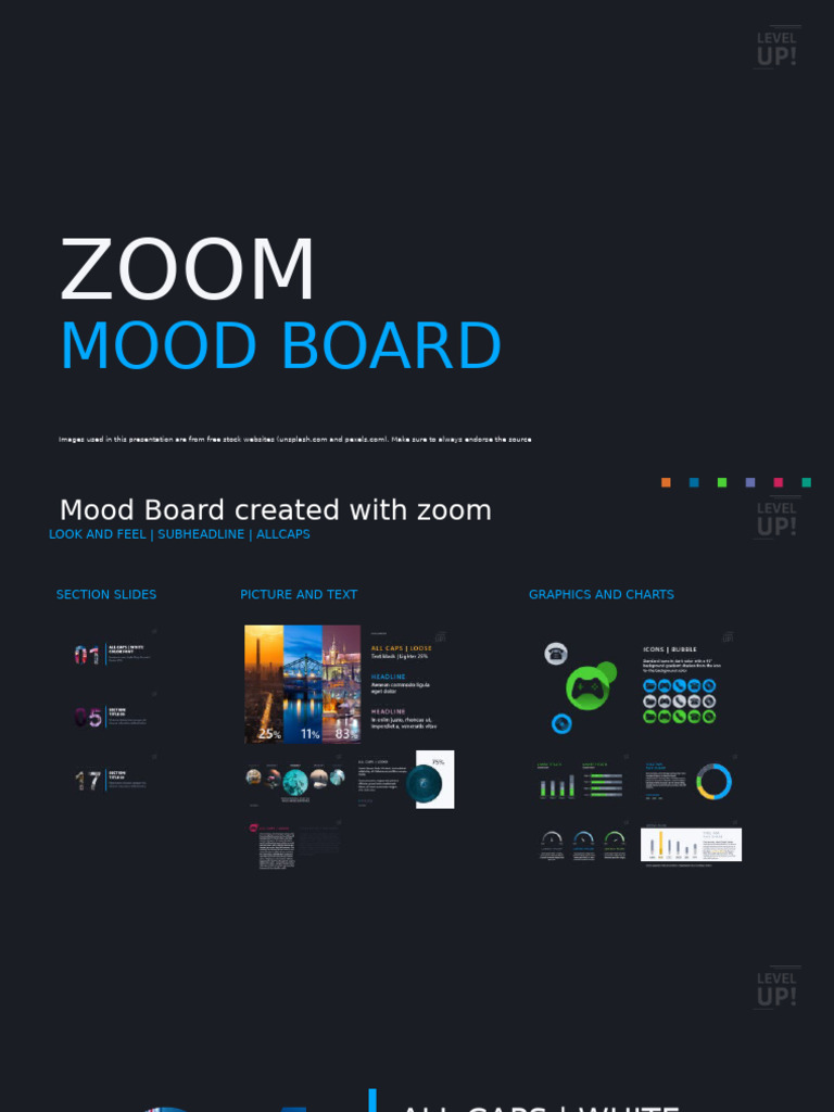 Zoom Basic Functions - Final | PDF