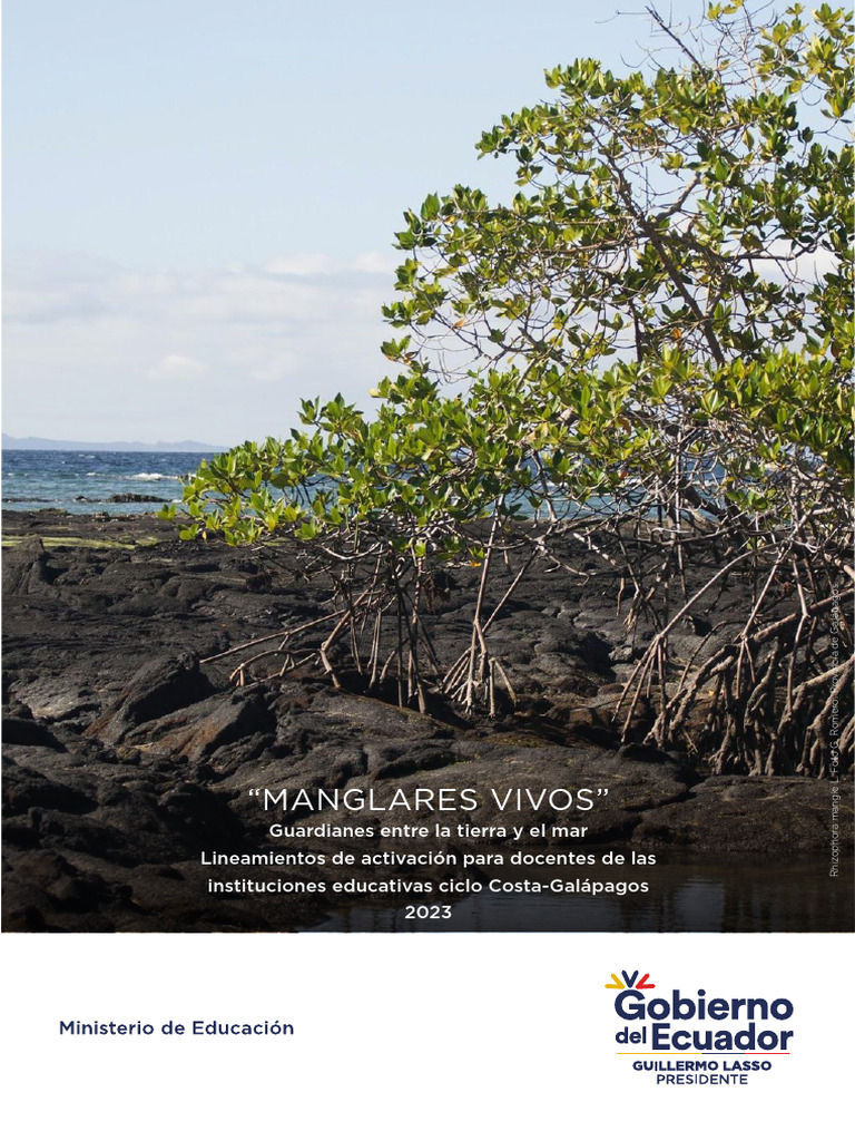 Dia Conservacion Manglar | PDF | Mangle | Deforestación