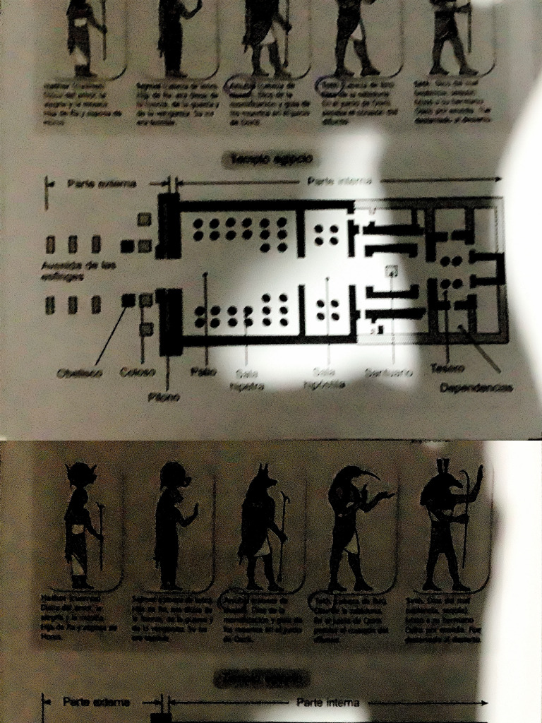 Documento Escaneado 24-11-24 (18.08.44) | PDF