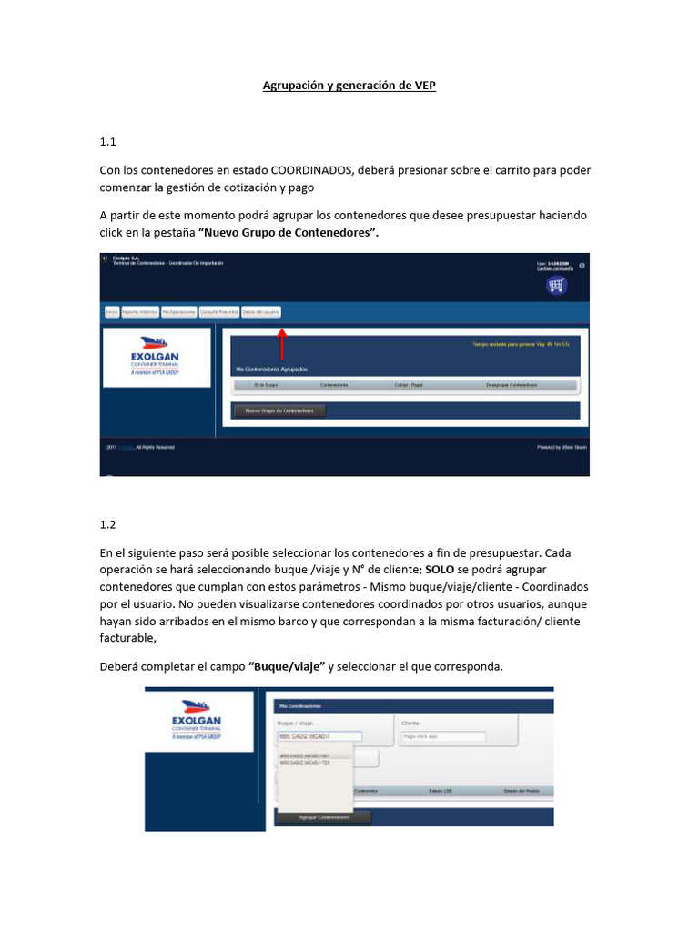 EXO - Instructivo Agrupacion y Generacion de VEP | PDF | Informática