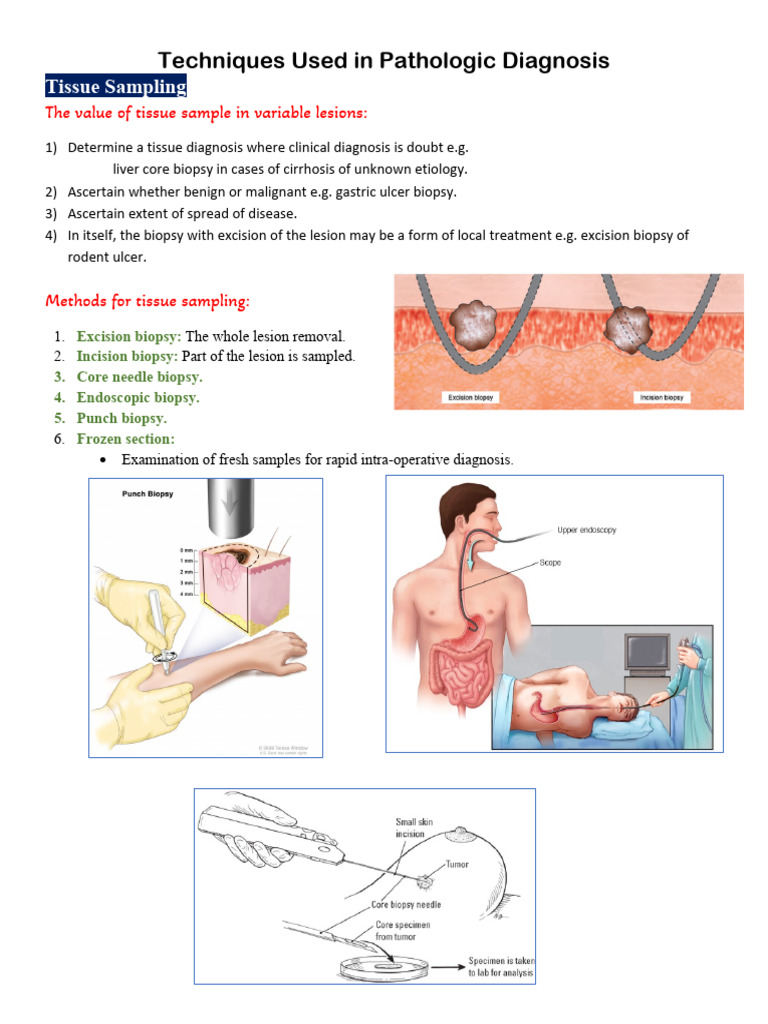 Patho by DR - Elnemr (Techniques) | PDF | Biopsy | Cytopathology