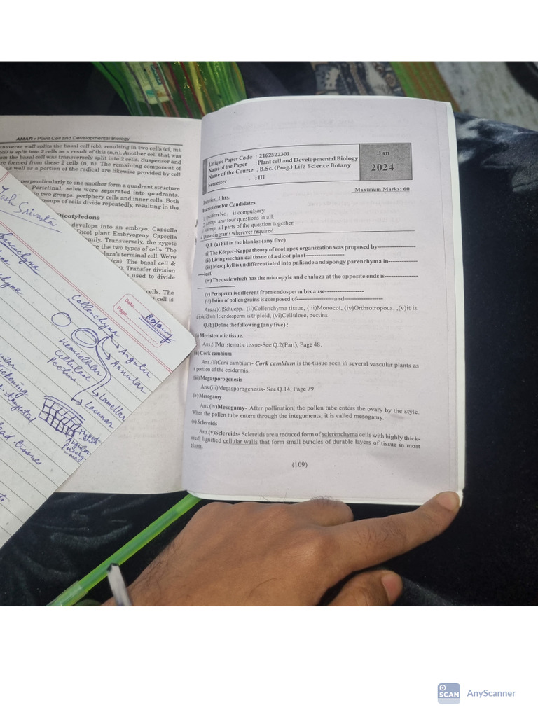 PYQ Plant Cell &dev. Bio | PDF