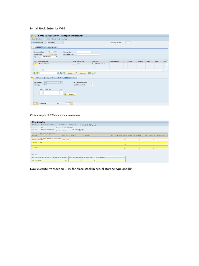 WM Initial Stock Entry Process Guide | PDF