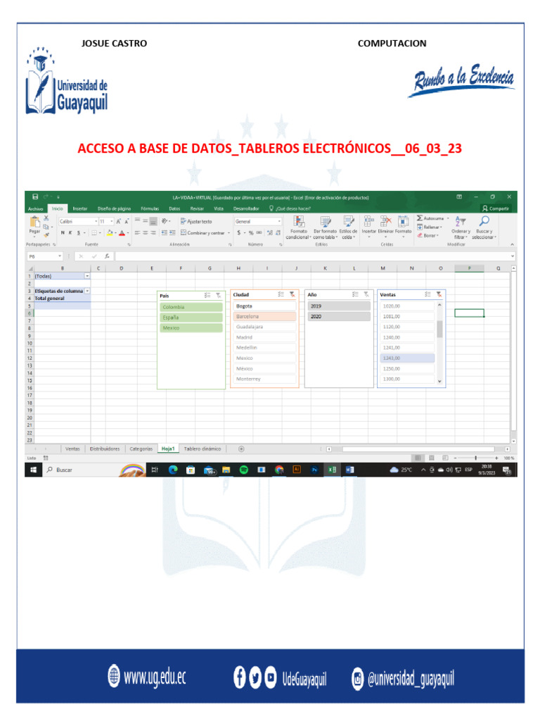 Acceso A Base de Datos - Tableros Electrónicos - 06 - 03 - 23 | PDF