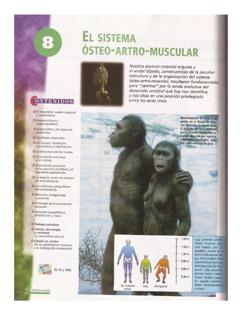 Cap. 8 Sist. Osteo-Artro-Muscular Santillana | PDF
