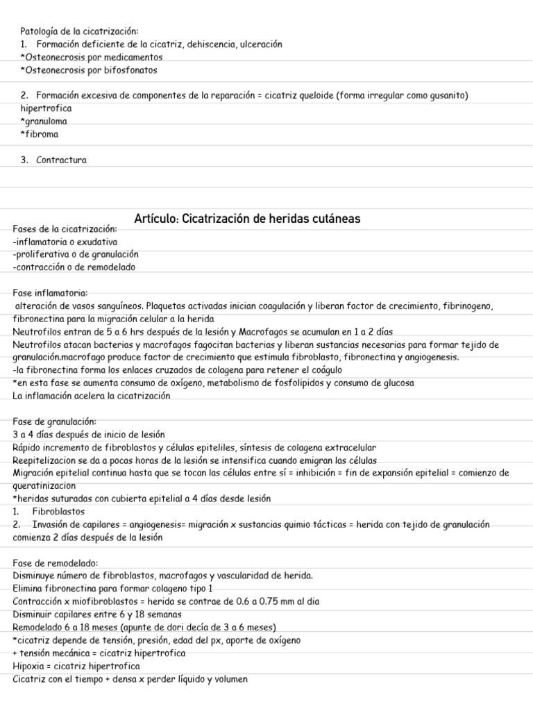 Artículo Exo | PDF | Cicatrización de la herida | Especialidades Medicas