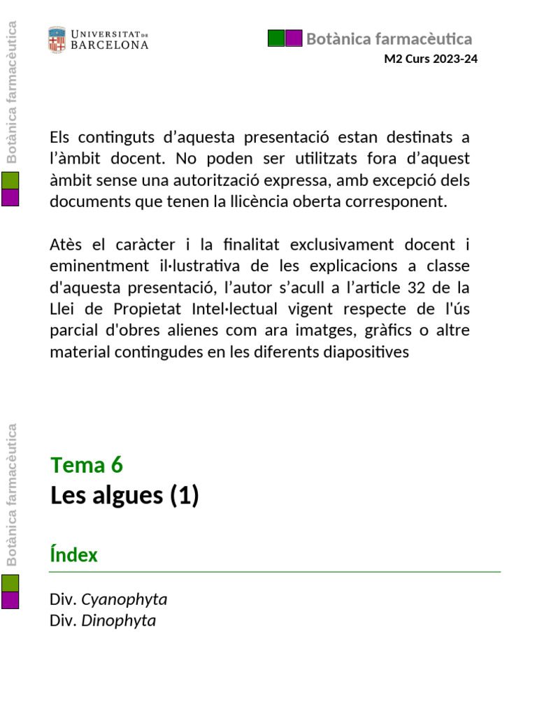 Tema 06.1 - 24 - CBV - M2 | PDF