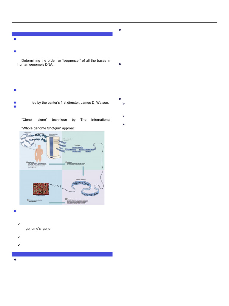 The Human Genome Project | PDF | Human Genome | Whole Genome Sequencing