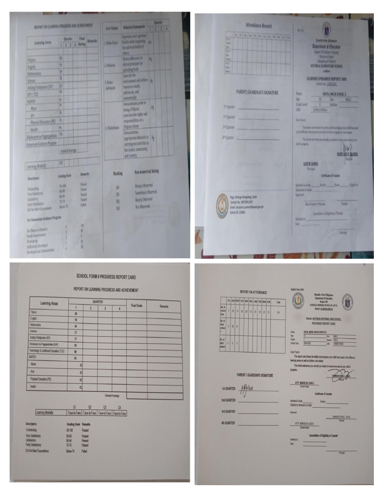 Document-WPS Office | PDF