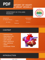 Anatomy Heart Cadaver | PDF | Heart Valve | Coronary Circulation