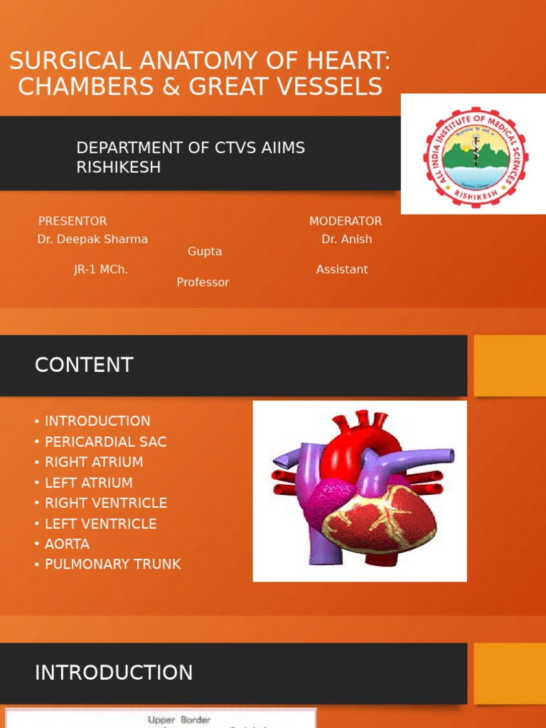 Heart Surgical Anatomy Overview | PDF | Aorta | Atrium (Heart)