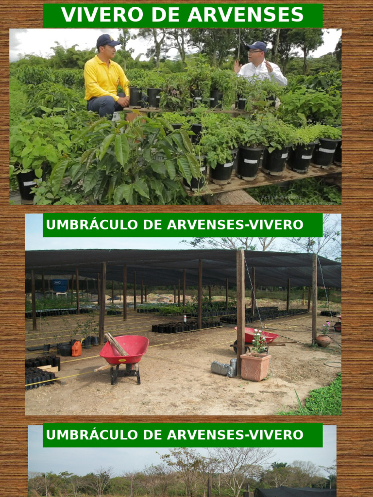 Taller de Arvenses i Vmb | PDF