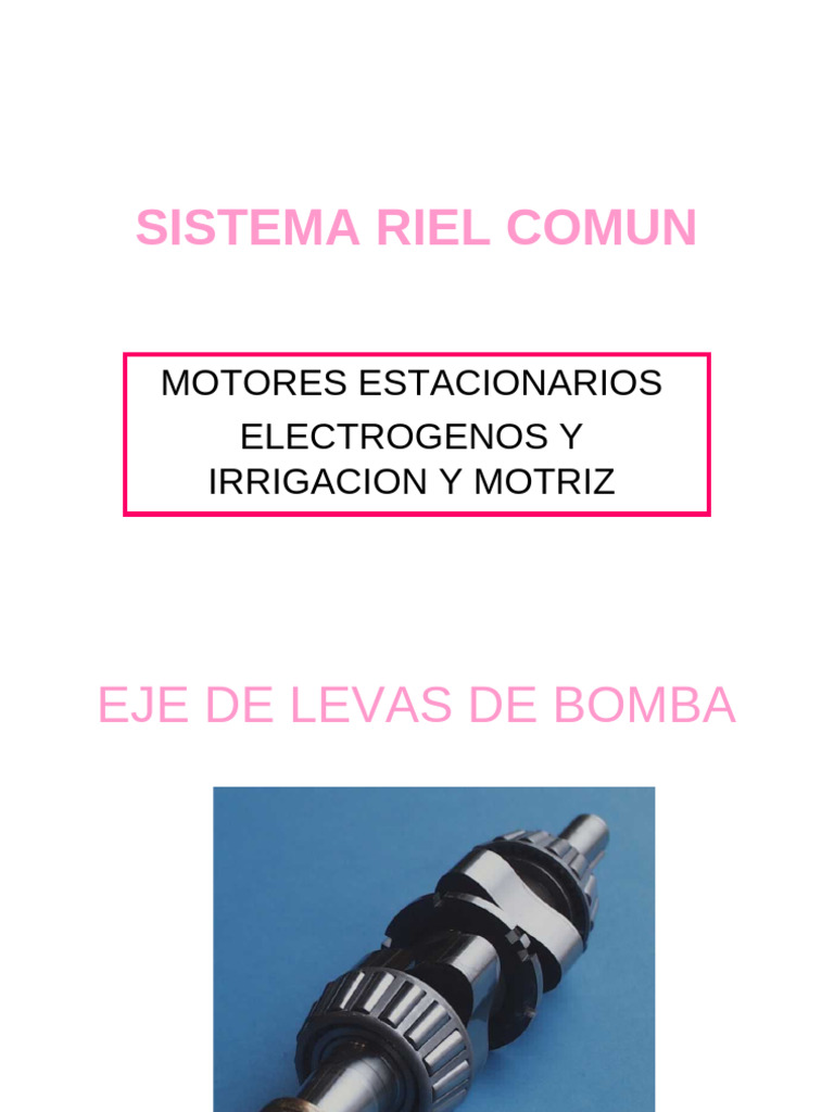 Presentacion Motores Estacionarios RIEL COMUN | PDF