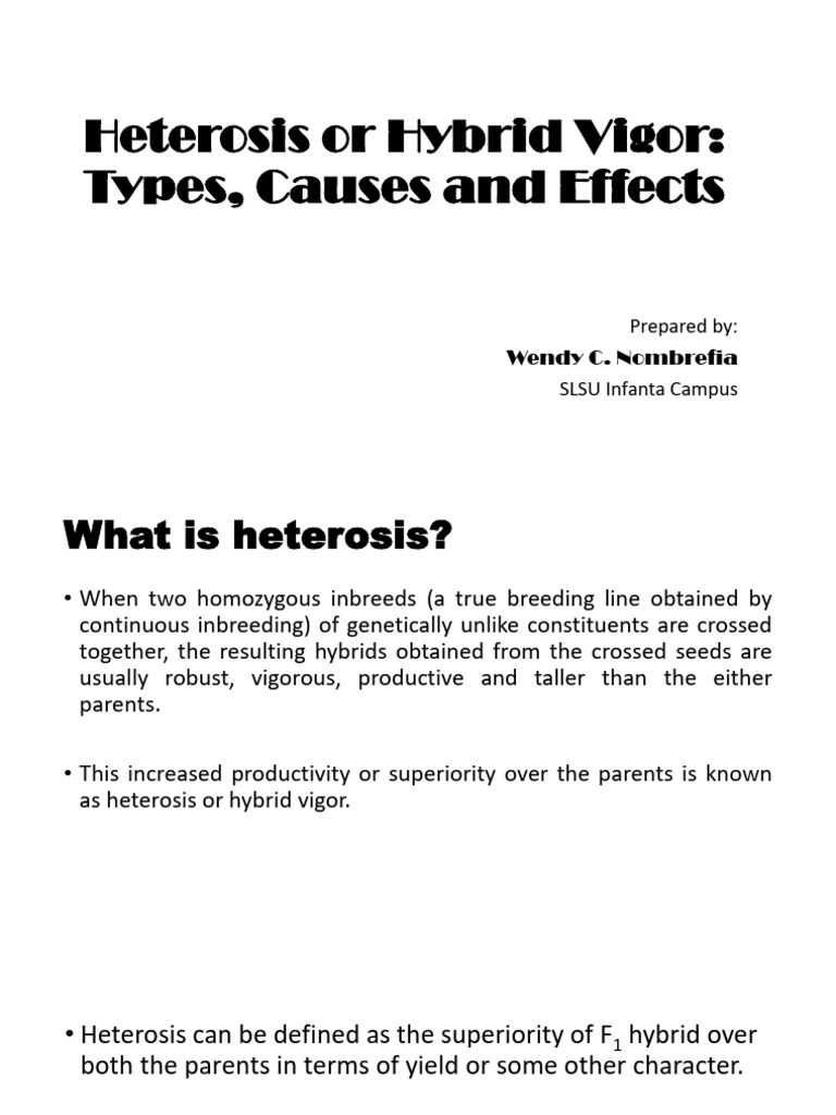 Heterosis: Types, Causes, Effects | PDF | Hybrid (Biology) | Inbreeding