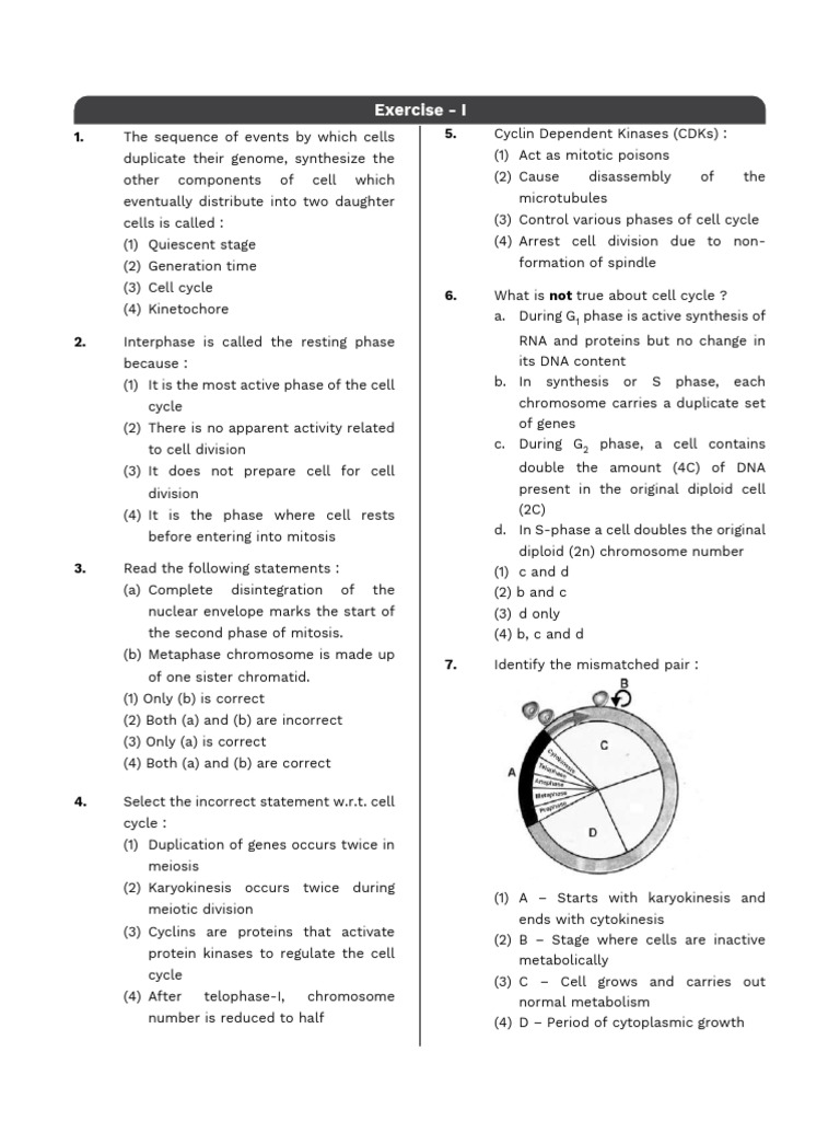 Cell Cycle | PDF | Meiosis | Mitosis