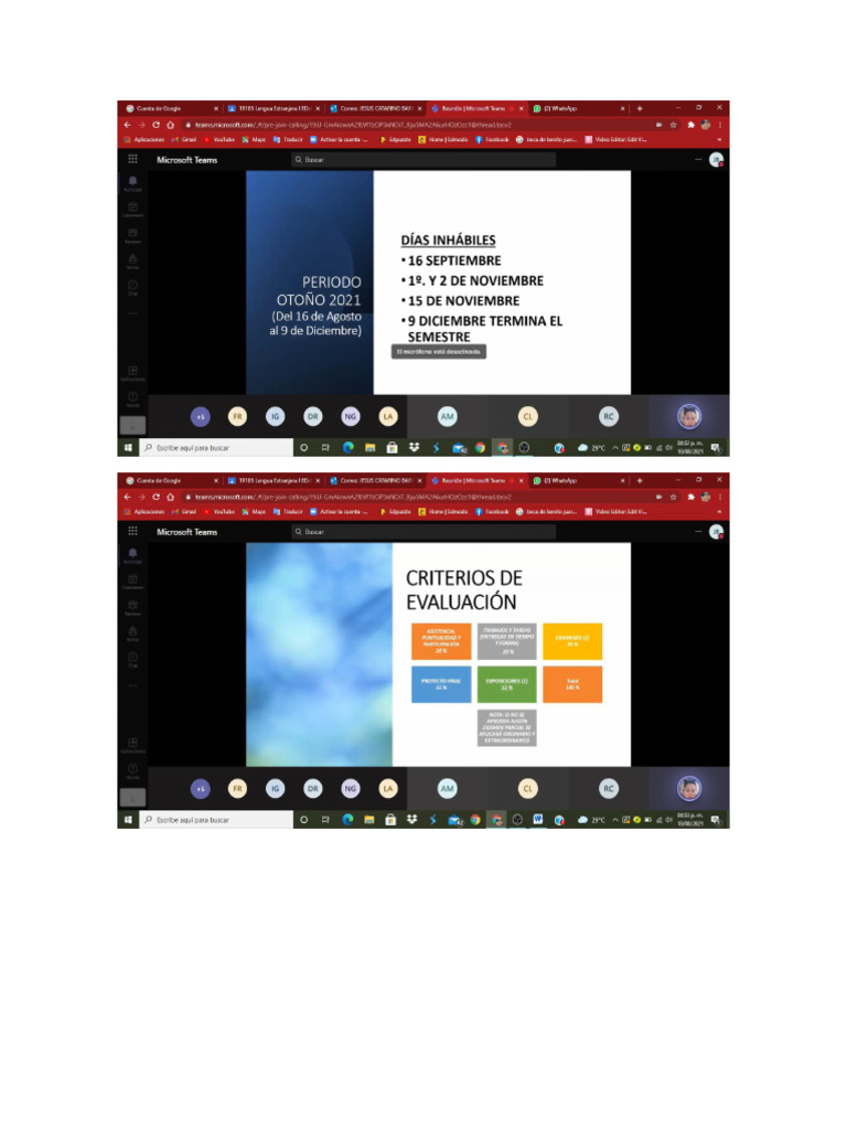 Clase De Anatomia Pdf