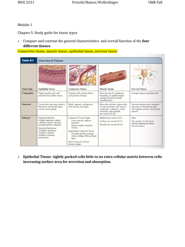 Tissue Types Study Guide for BIOL 2331 | PDF | Epithelium | Tissue ...