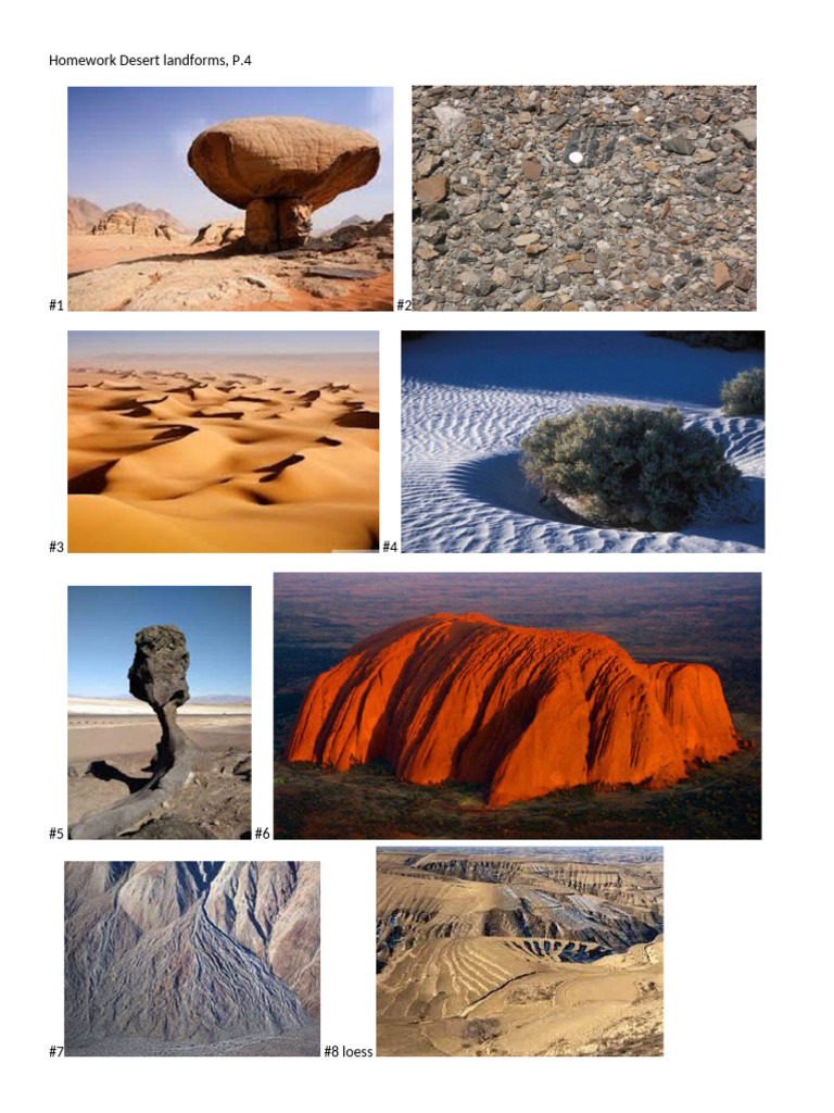 Homework Desert landforms P.4 | PDF