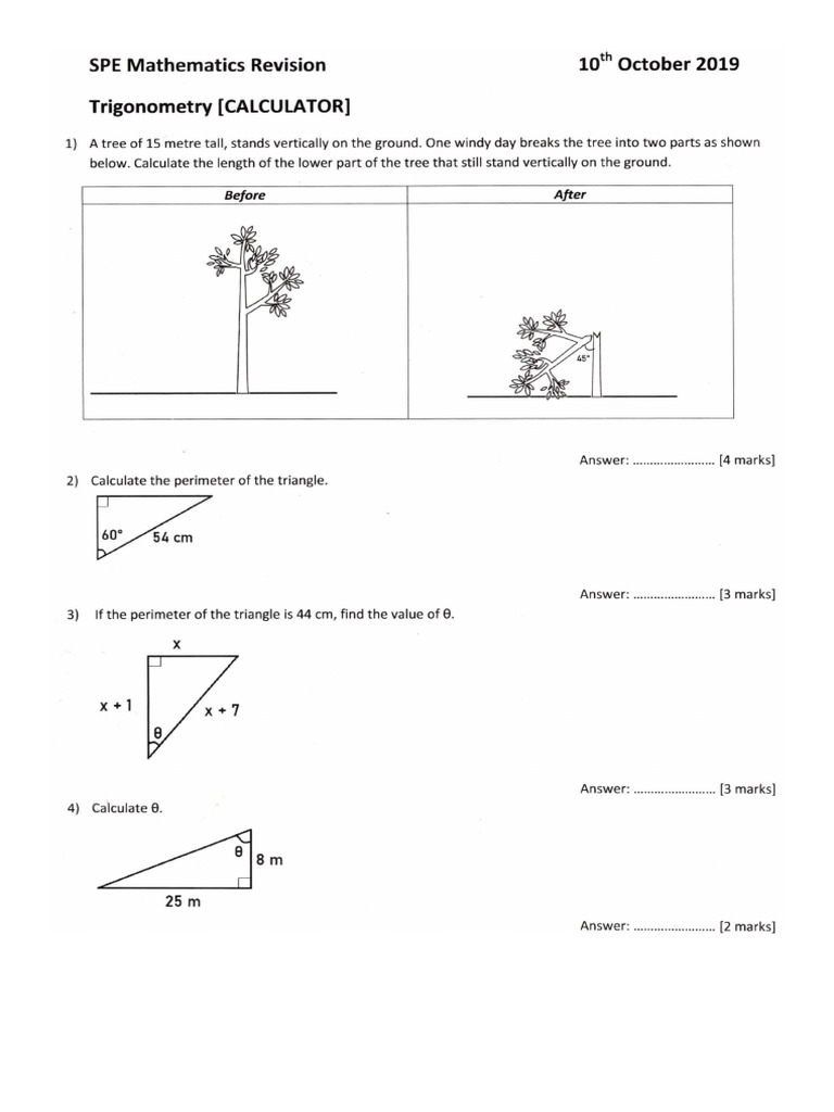 Year 8 Mathematics SPE Revision (Trigonometric Ratio) | PDF