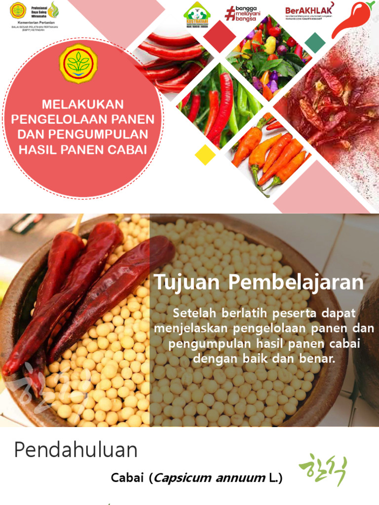 Pengelolaan Panen Dan Pengumpulan Hasil Panen | PDF