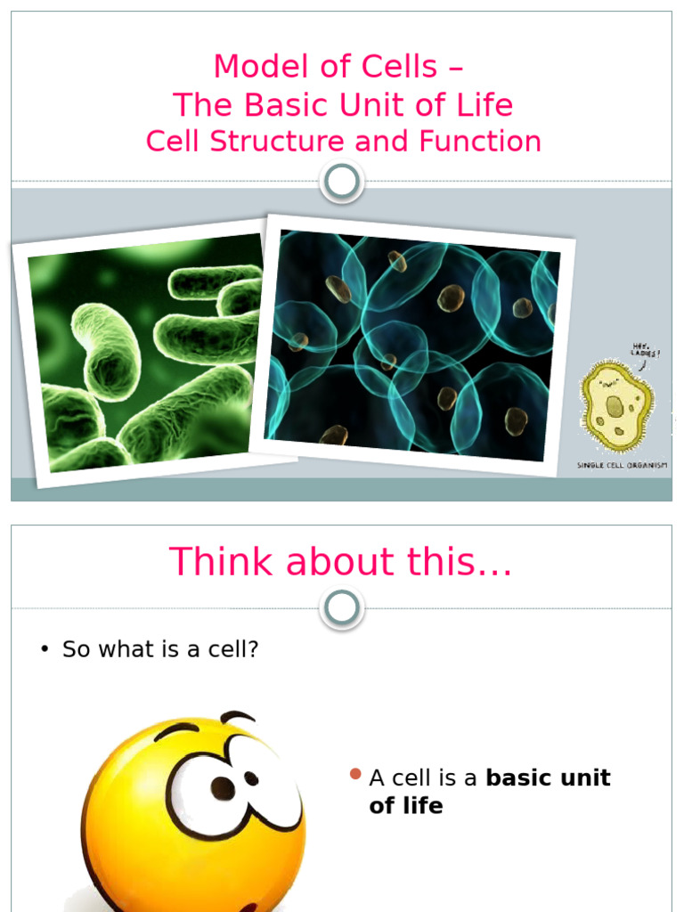 1.3 Slides - Cell Structure and Function | PDF | Cell (Biology) | Cell ...