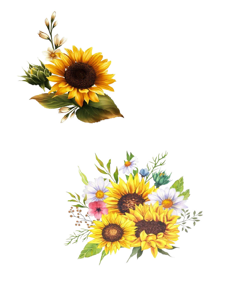 Sunflower | PDF