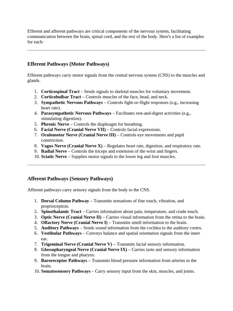 Afferent and Efferent Pathways Explained | PDF