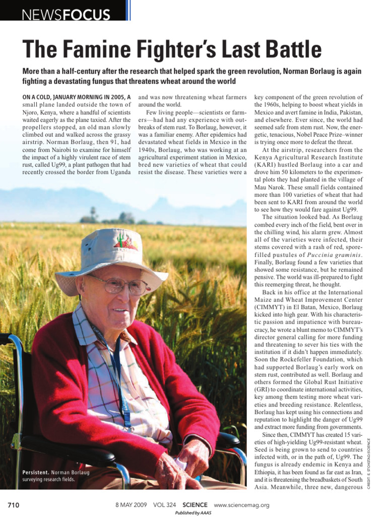 Famine Fighters Last Battle | PDF | Wheat | Green Revolution