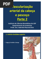 Anatomia da Irrigação e Inervação Facial | PDF | Anatomia humana ...