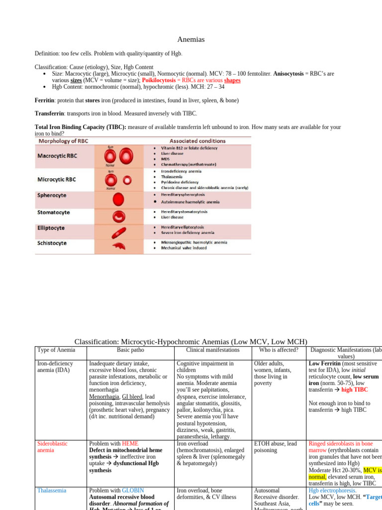 Understanding Anemia: Types and Causes | PDF | Anemia | Vitamin B12