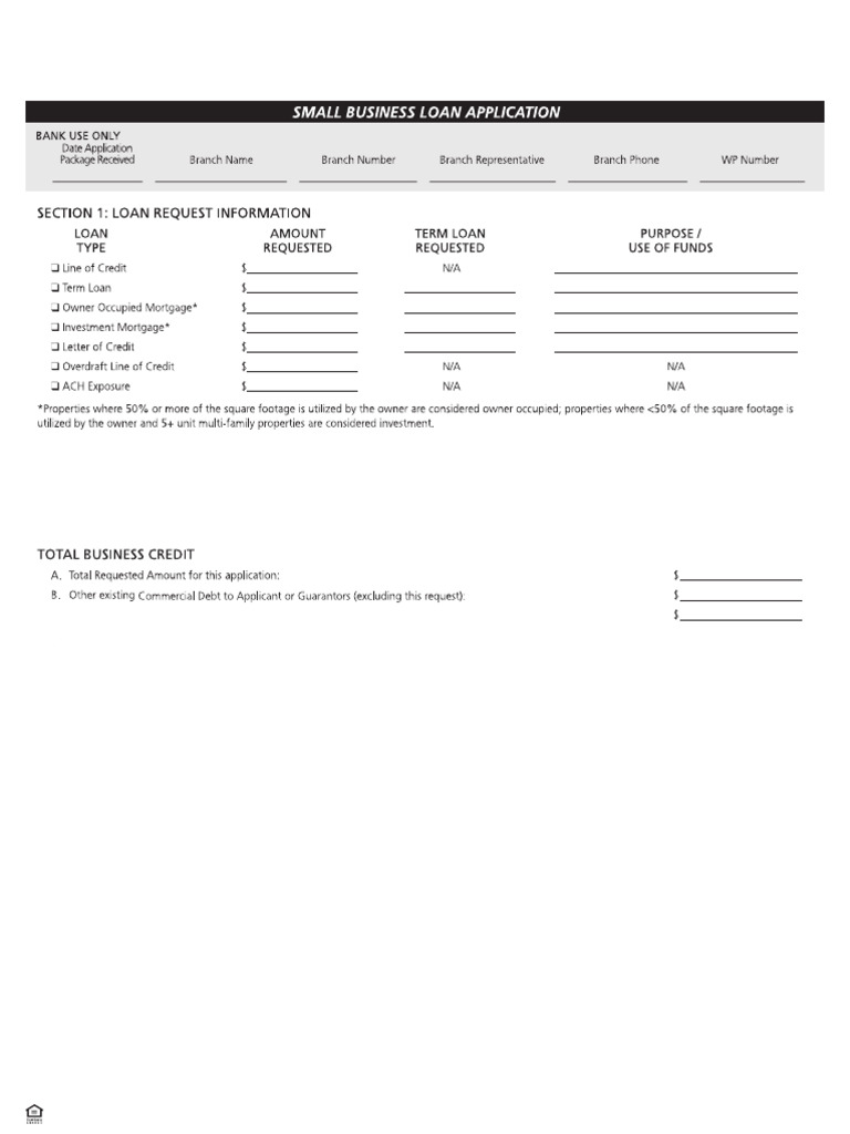 Blank-Small Business Loan Application | PDF