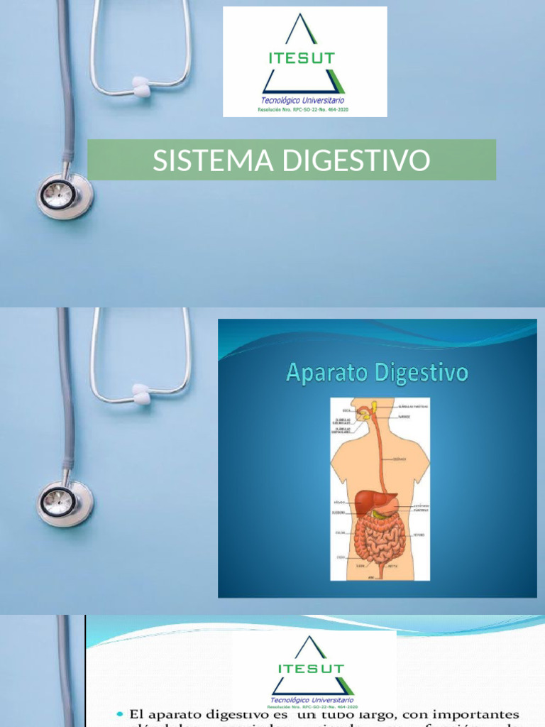 1.2.1 Generalidades Del Sistema Digestivo | PDF