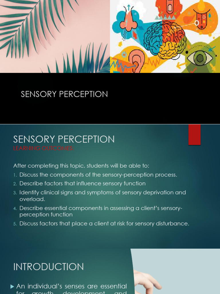 Sensory Perception | PDF | Perception | Senses