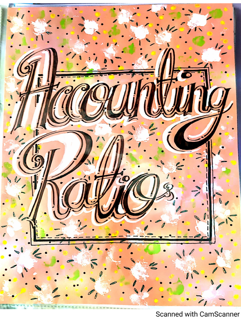 Accountancy Project | PDF