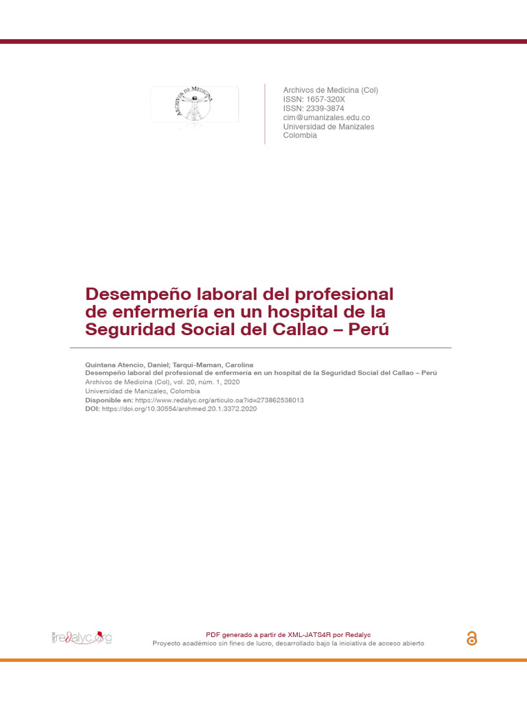 Desempe;o Laboral Para Introduccion | PDF | Enfermería | Programas sociales