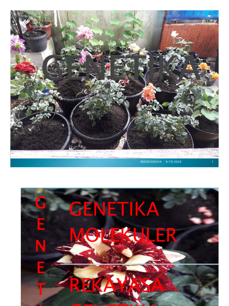 Genetika dan Rekayasa Genetik Modern | PDF
