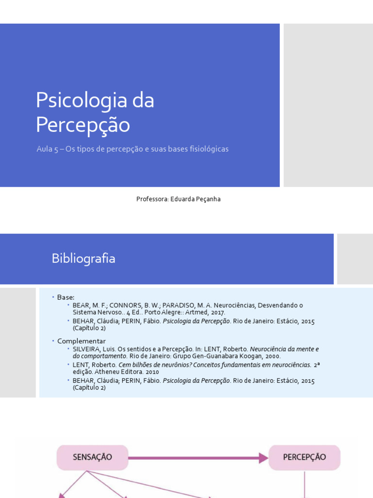 Aula 5 - Tipos de Percep o e Suas Bases Fisiol Gicas | PDF | Sistema ...